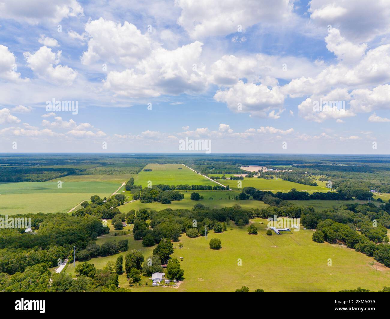 High springs florida hi-res stock photography and images - Alamy