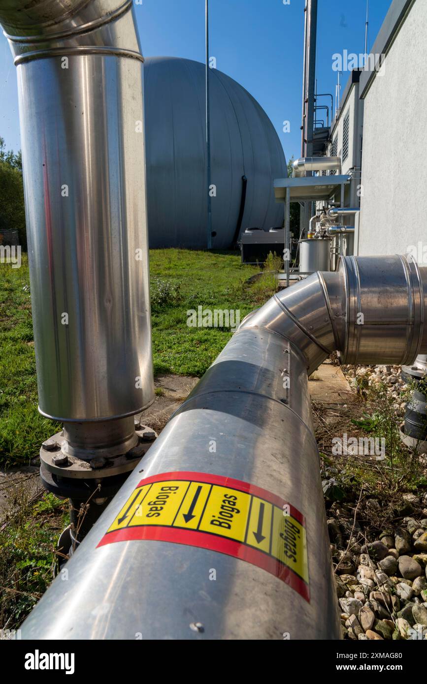 Biogas upgrading plant, purification of biogas from organic waste ...