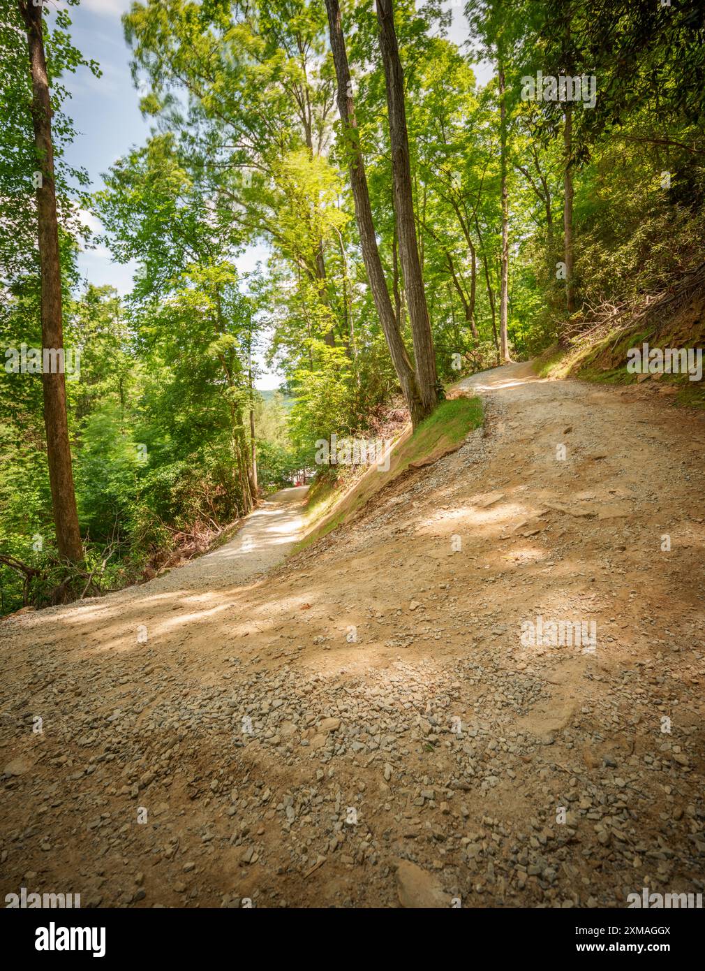 Winding pathway to Catawba Falls, Old Fort, North Carolina, USA 2024 ...