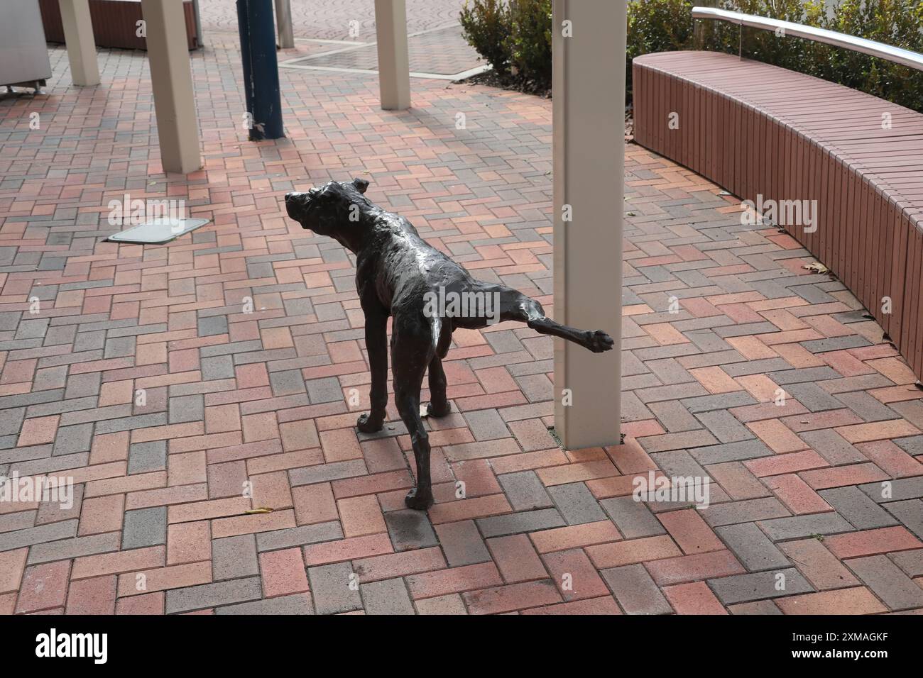 Dog statue in Forbes, NSW, Australia Stock Photo - Alamy