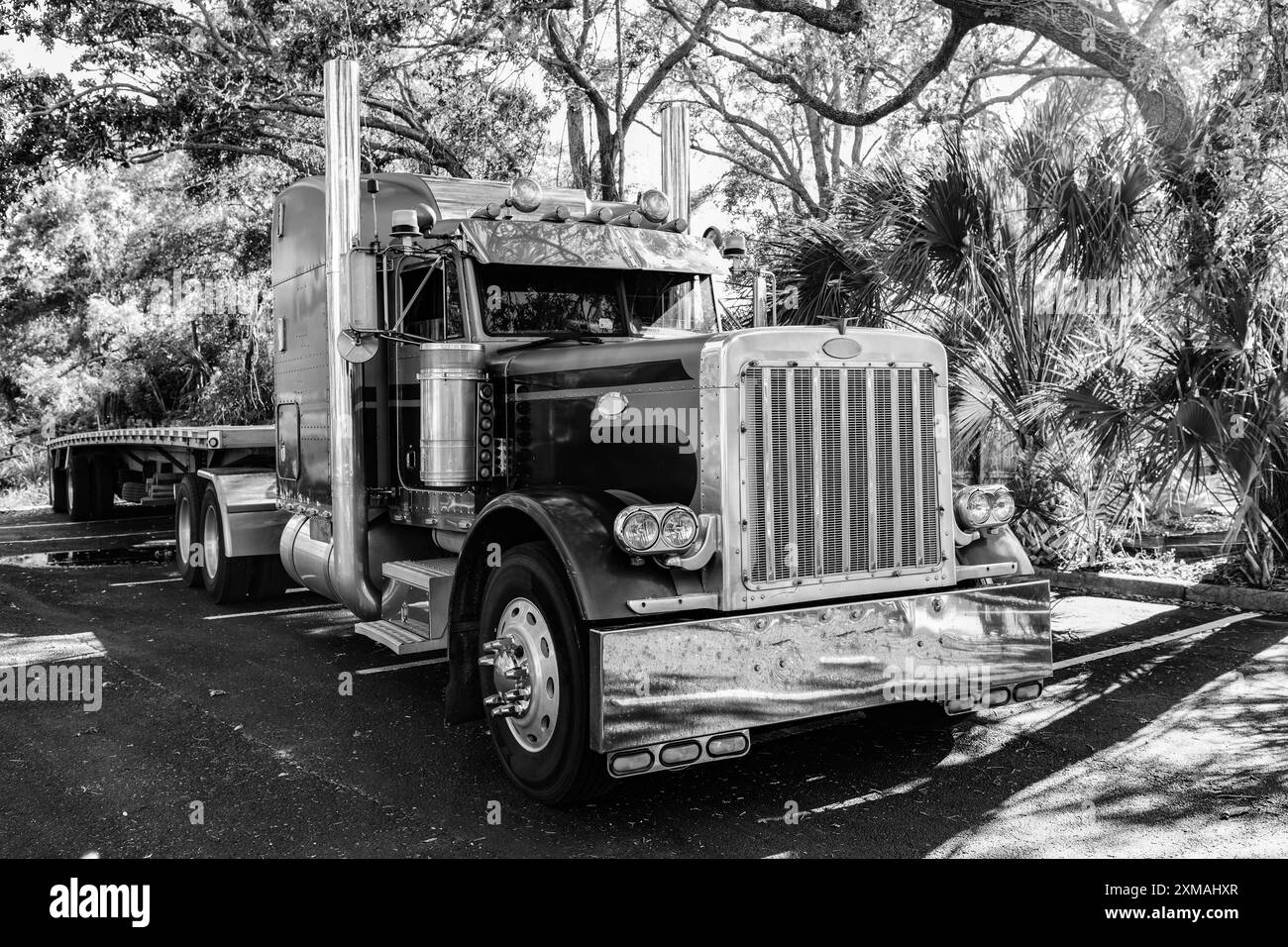 semi truck in america. freightliner trailer transportation. rig truck ...
