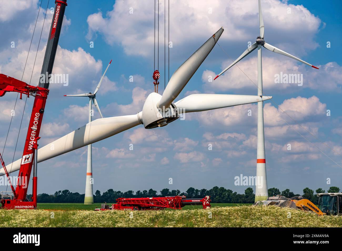 Repowering of a wind farm near Issum, 9 older wind turbines from the ...