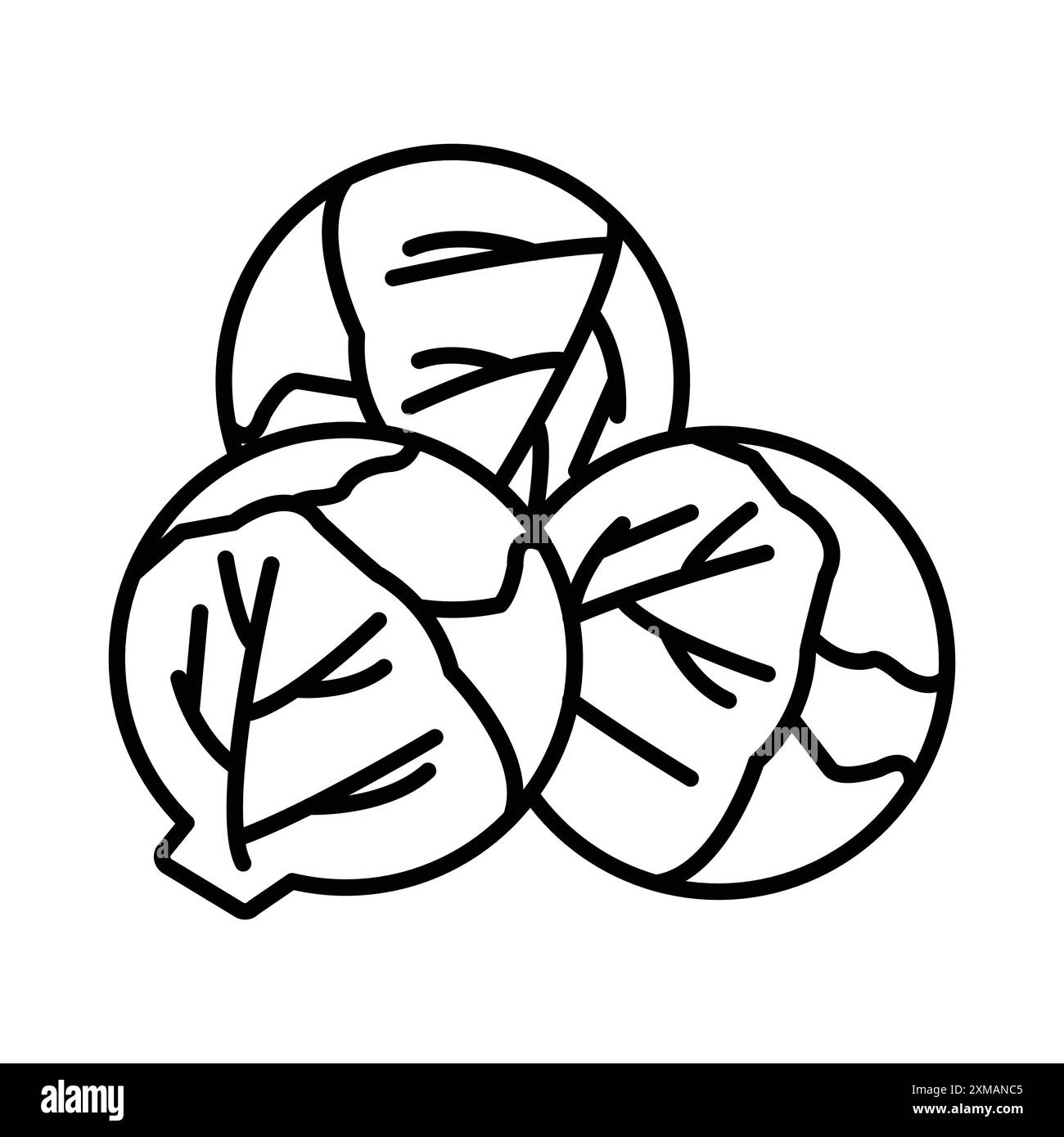 Brussels sprouts Cabbage icon linear logo mark set collection in black ...