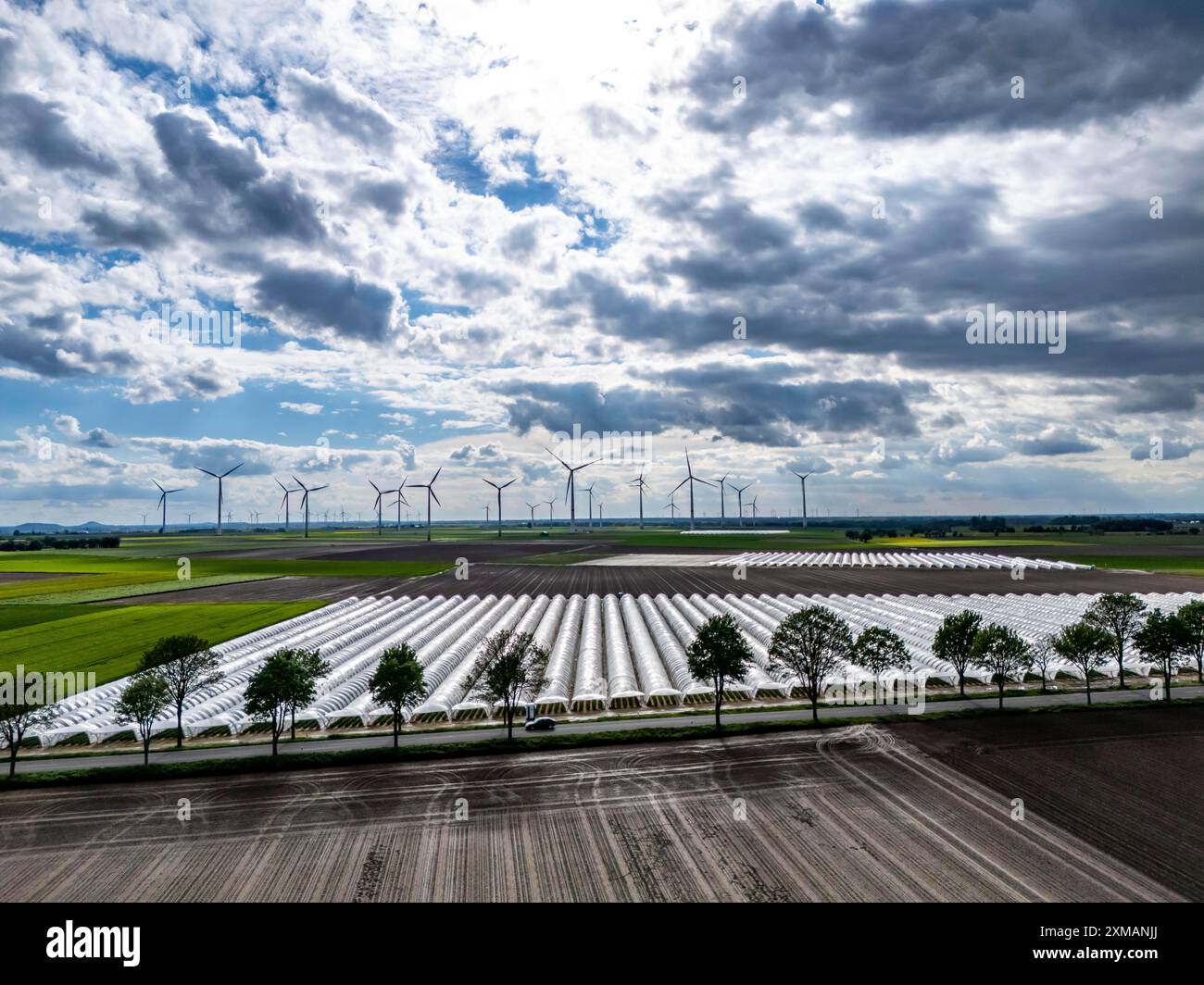 Agriculture, large areas with foil tunnel, for the cultivation of ...