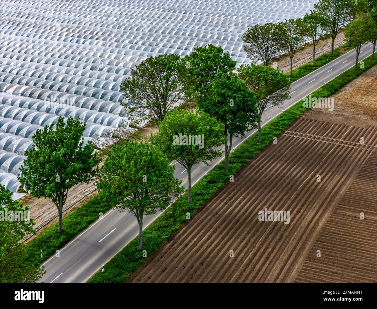 Agriculture, large areas with foil tunnel, for the cultivation of ...