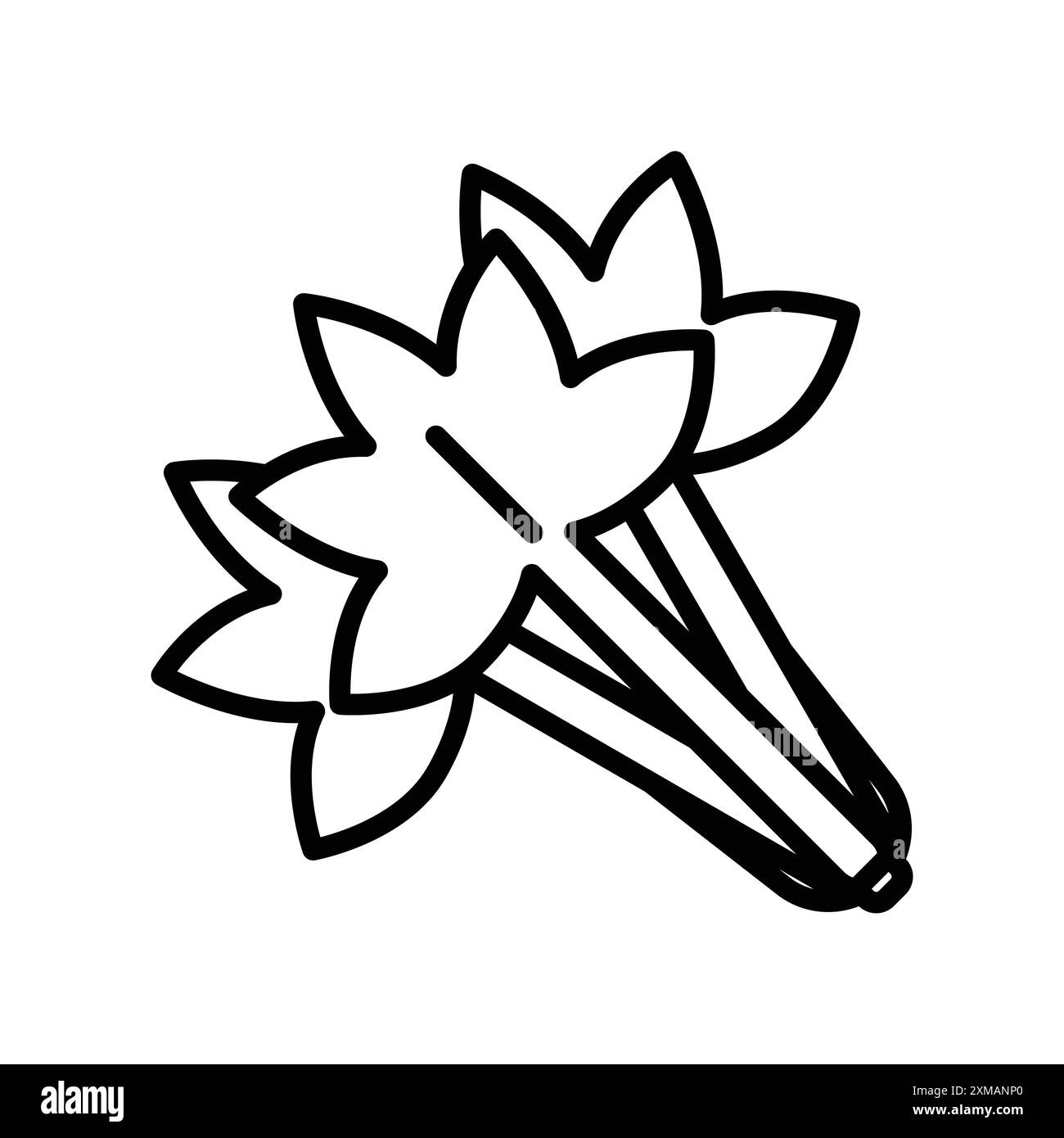 Celery icon linear logo mark set collection in black and white for web ...