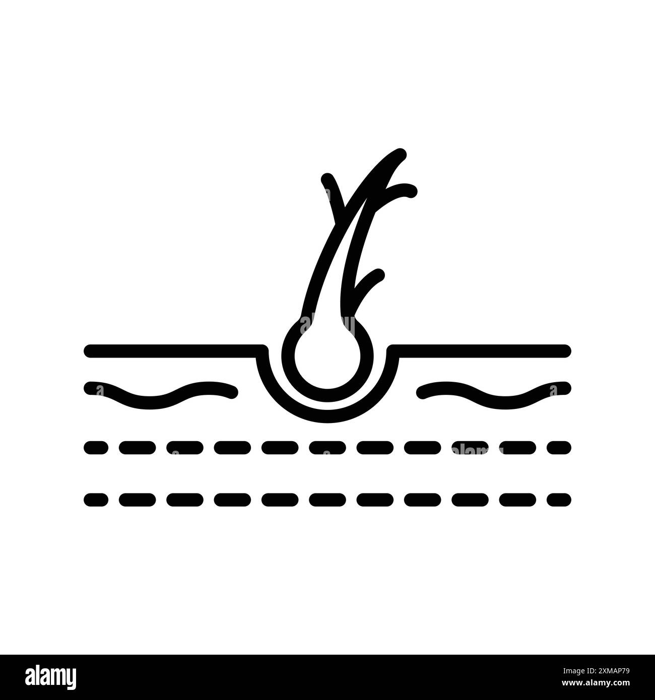 Hair Split Ends icon linear logo mark set collection in black and white ...