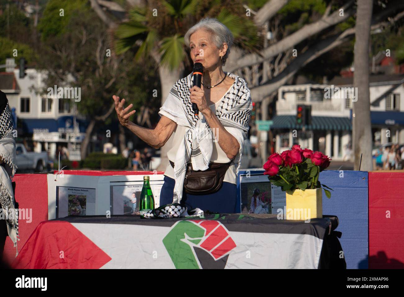 Green Party presidential nominee Dr. Jill Stein visited Laguna Beach ...