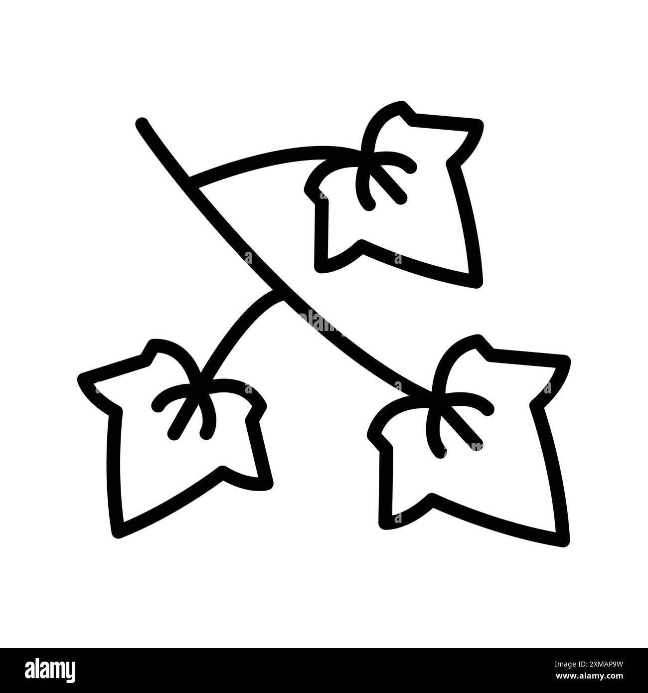 English ivy icon linear logo mark set collection in black and white for ...