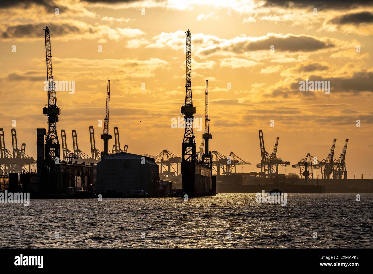 Port of Hamburg, view of the Blohm + Voss shipyard, evening, cranes of ...
