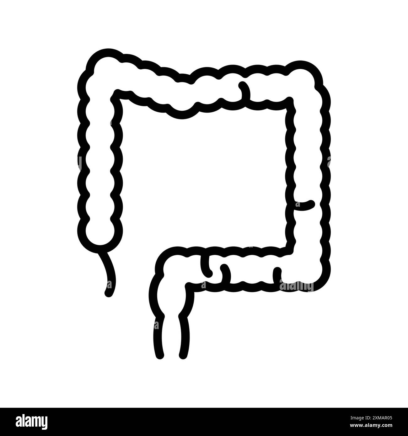 Large intestine icon linear logo mark set collection in black and white ...