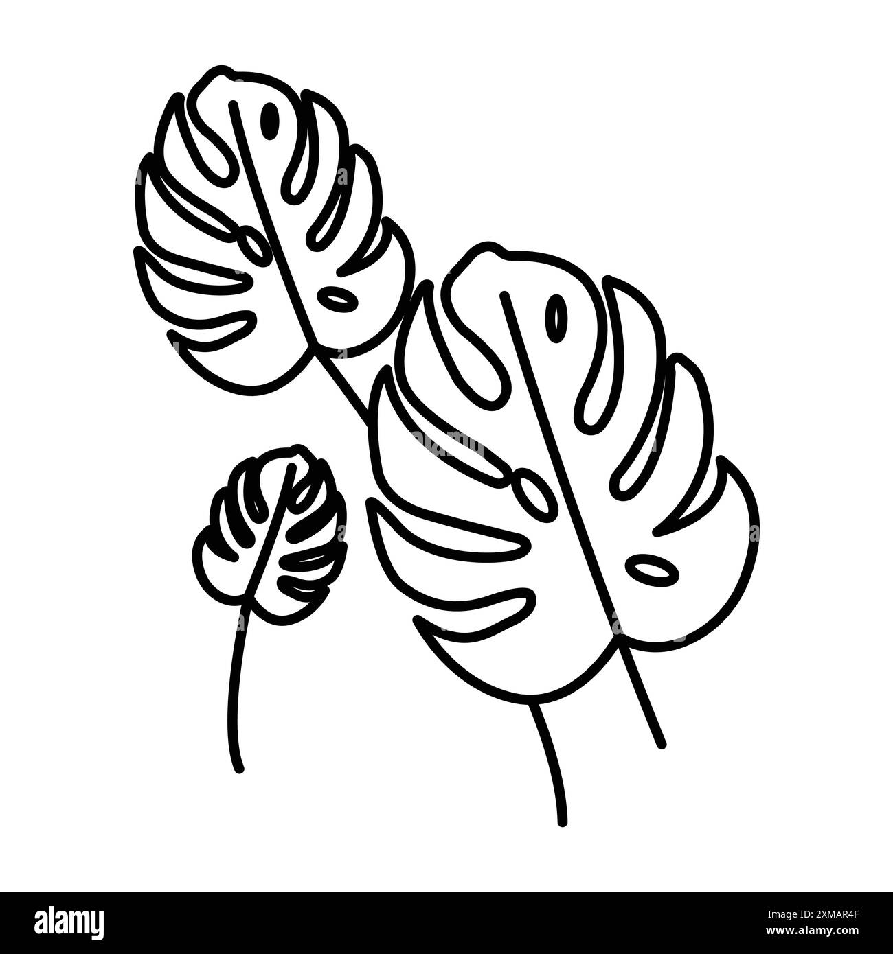 Monstera leaves icon web Stock Vector Images - Alamy