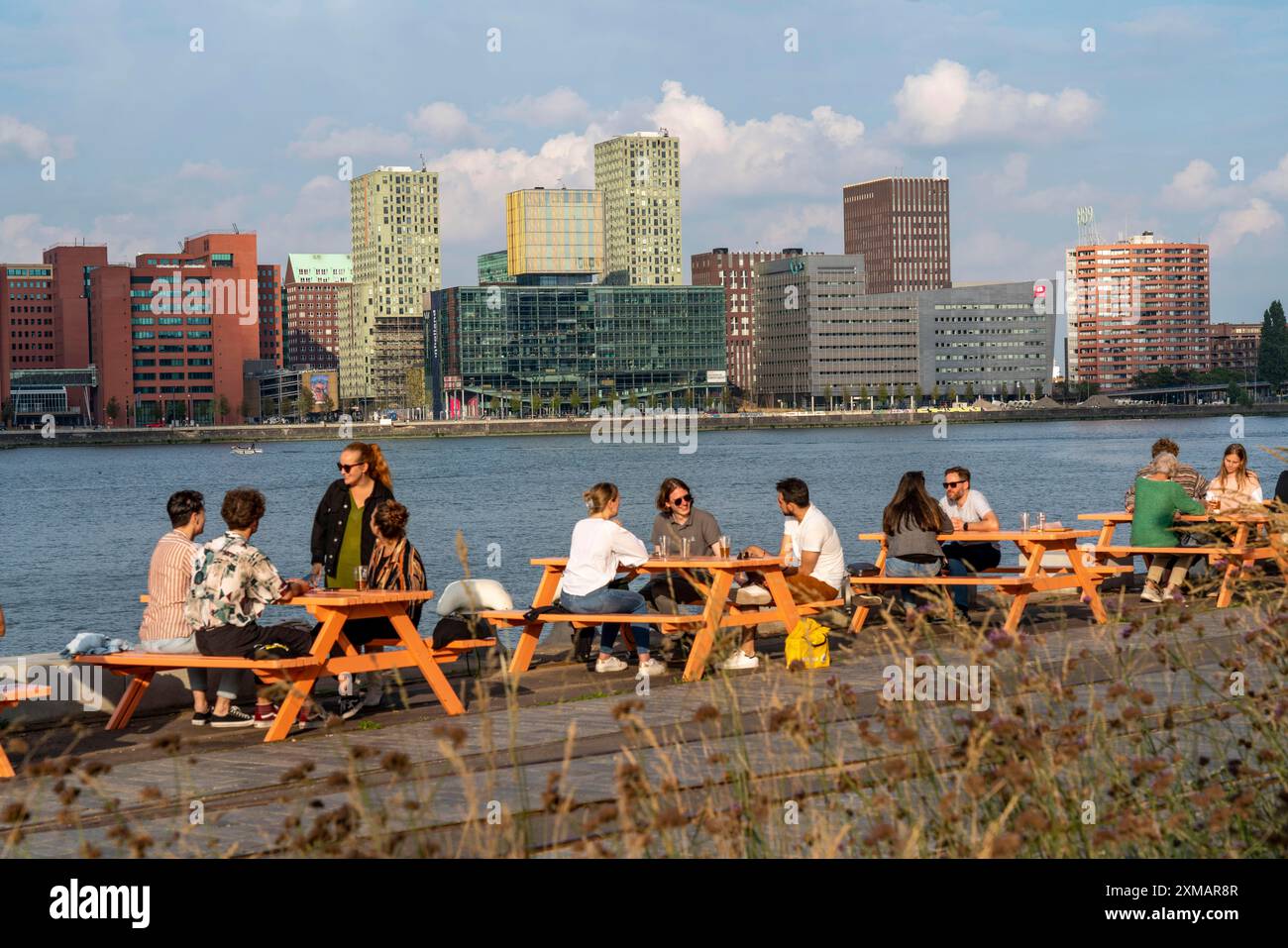 View of the skyline of Rotterdam, from the Fenix Food Factory, market ...
