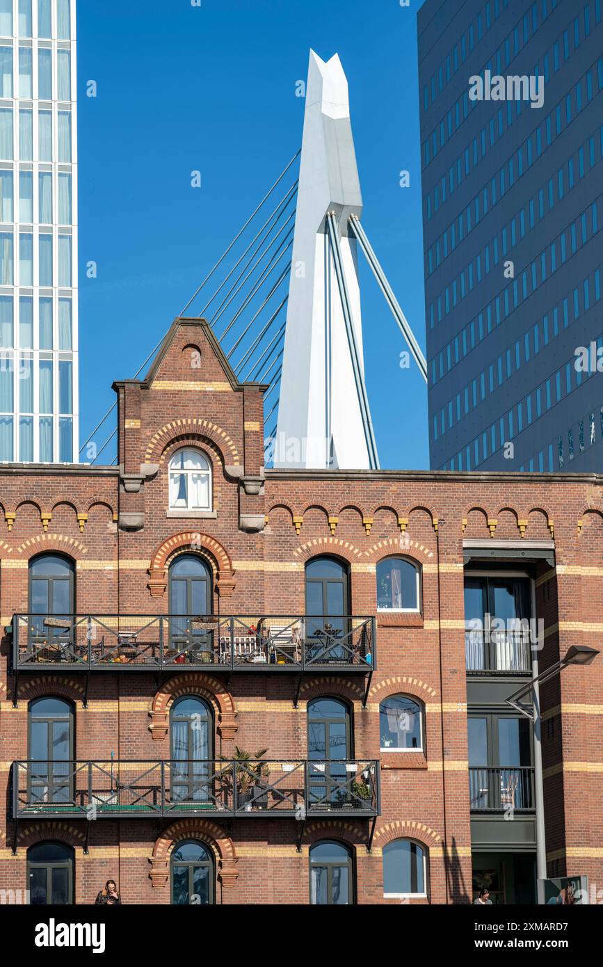 The skyline of Rotterdam, at the Nieuwe Maas, skyscrapers at the Kop ...