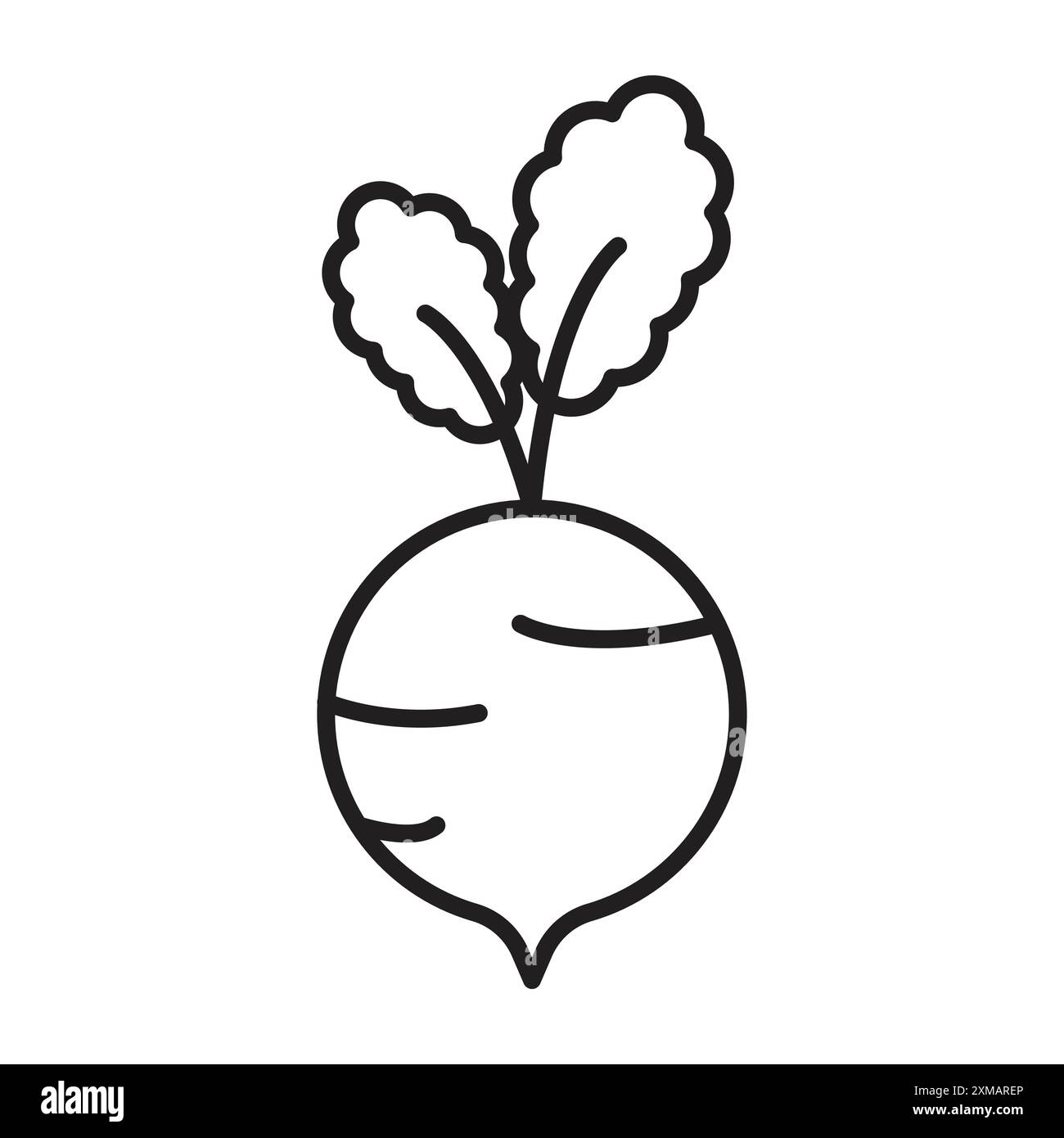 radish icon linear logo mark set collection in black and white for web ...