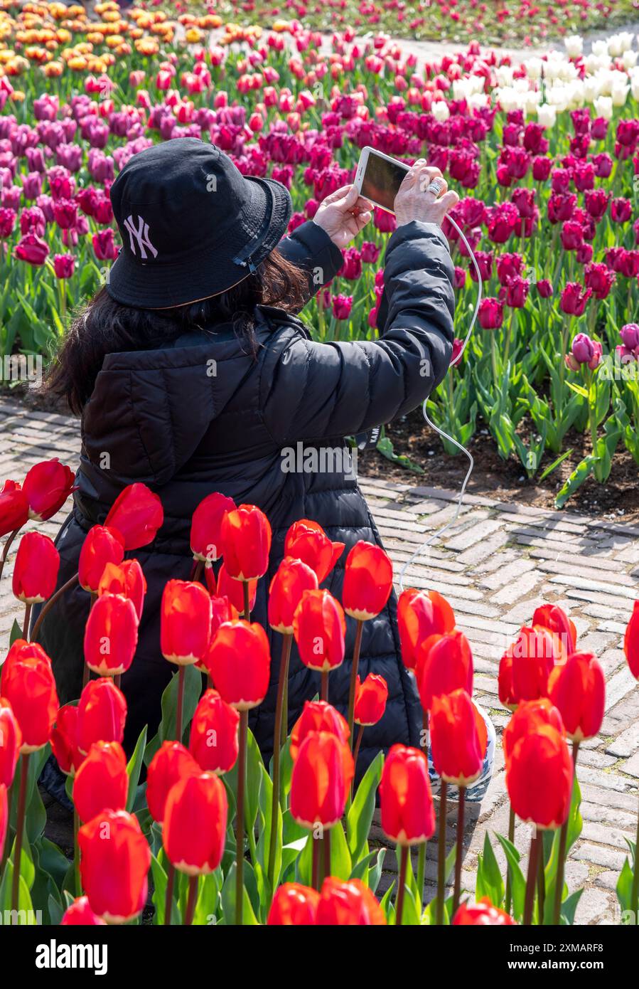 The Keukenhof, gardens, amusement park, spring park, spring flower show ...