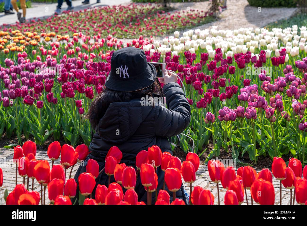 The Keukenhof, gardens, amusement park, spring park, spring flower show ...