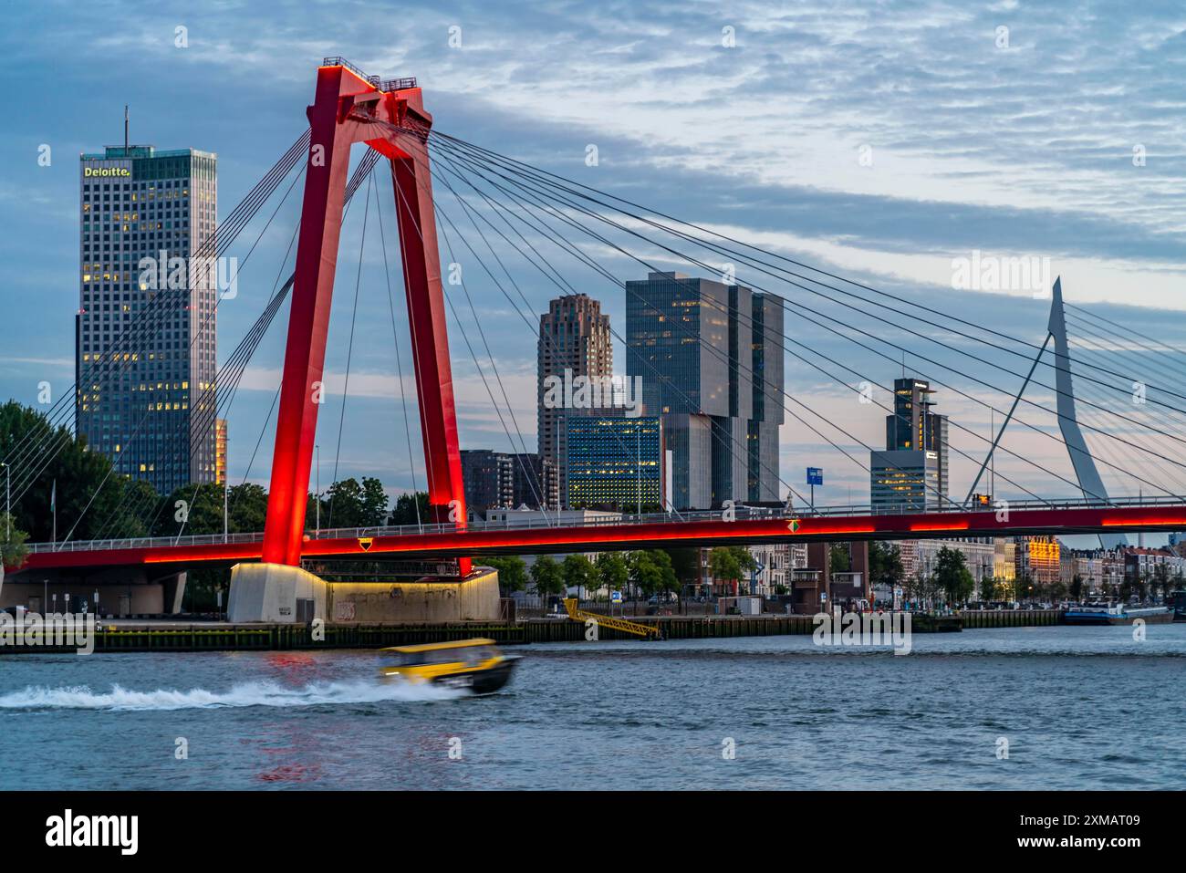 The skyline of Rotterdam, at the Nieuwe Maas, river, skyscrapers ...