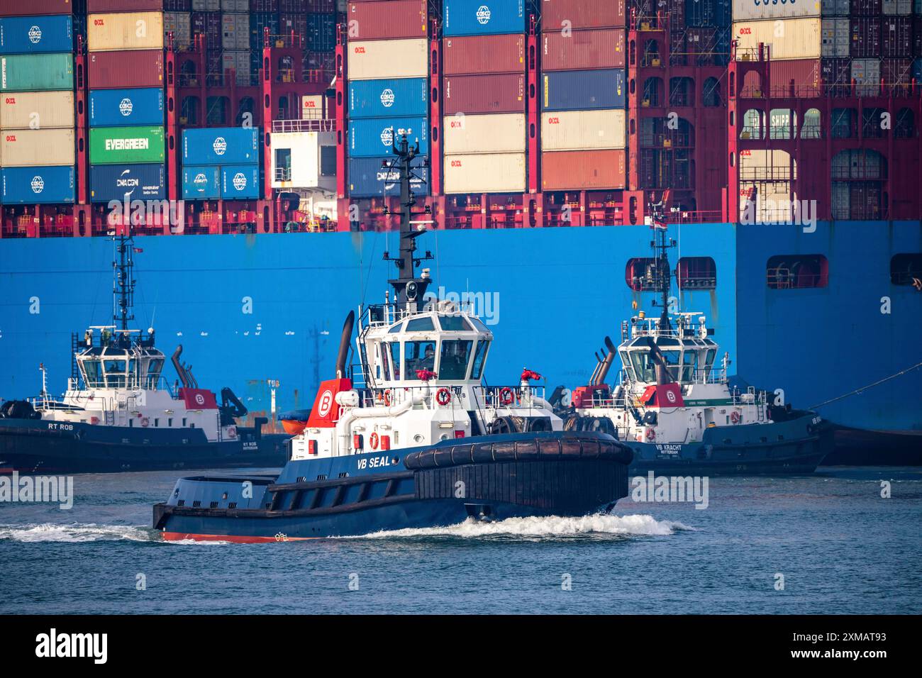 Harbour tug pushes the container freighter Cosco Shipping Leo to its ...