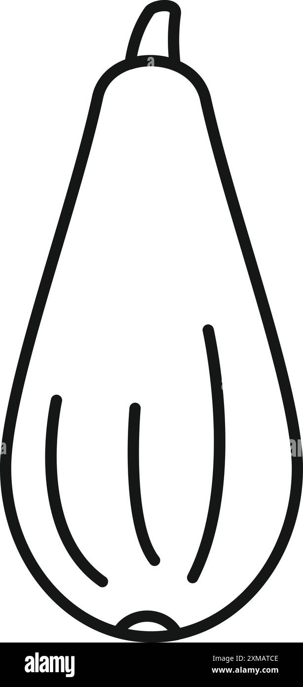 Simple line drawing of a butternut squash with a stem, isolated on a ...