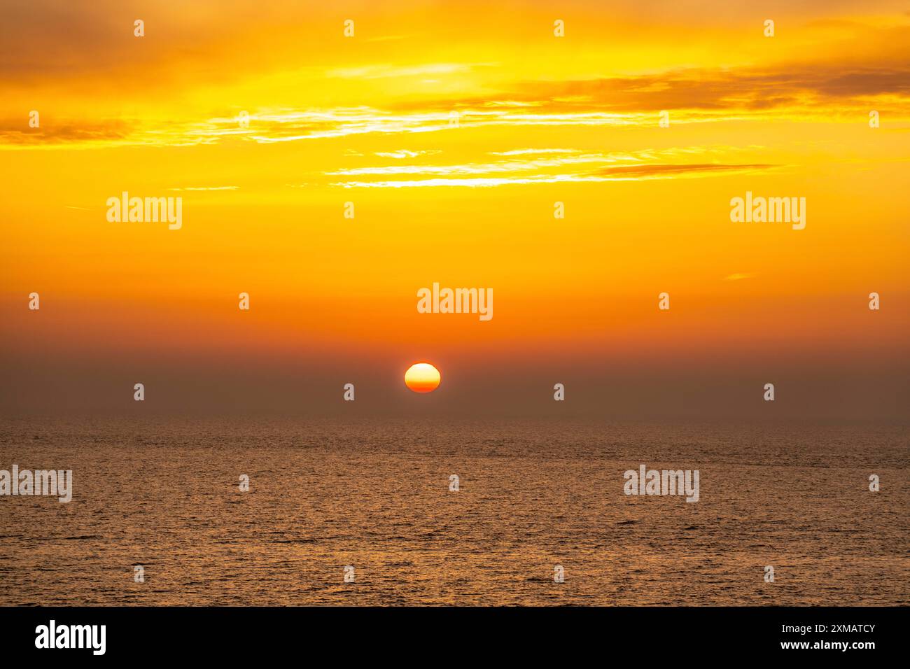 Dune landscape at the Maasvlakte 2 deep-sea harbour, on an artificial ...