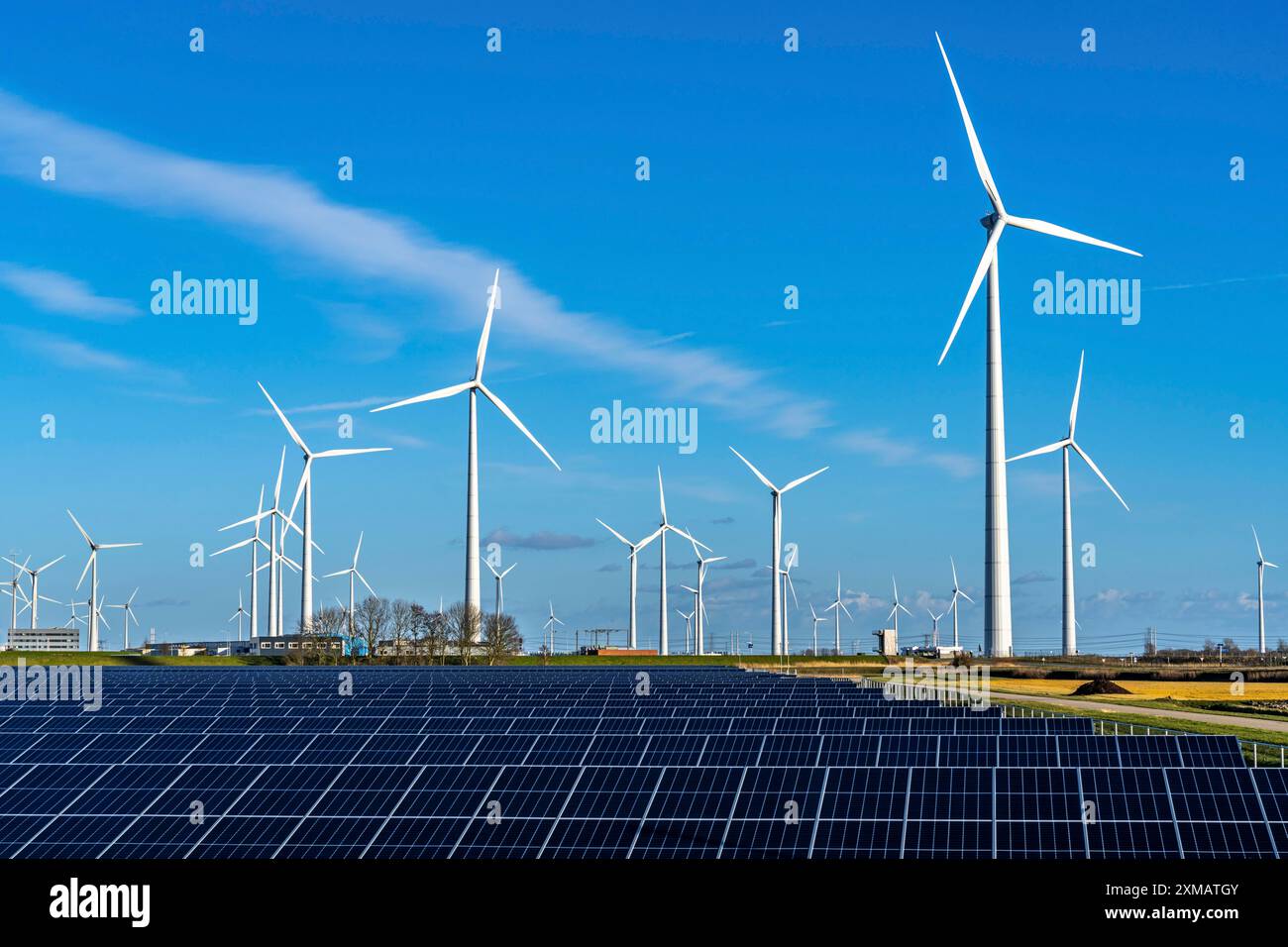 Vopak Solarpark Eemshaven, 19 hectares of solar modules with a capacity ...