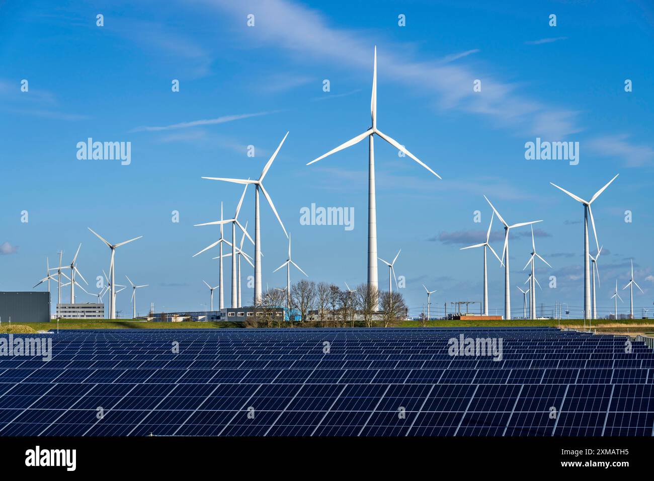Vopak Solarpark Eemshaven, 19 hectares of solar modules with a capacity ...