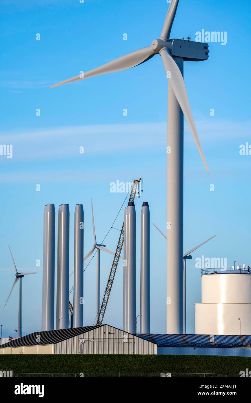 Buss-Terminal Eemshaven, logistics hub for the offshore wind farm ...