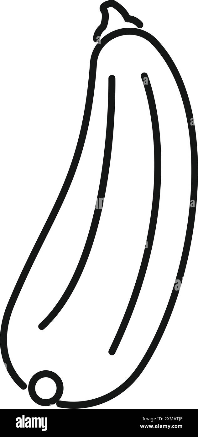 Simple line drawing of a single fresh zucchini on a white background ...