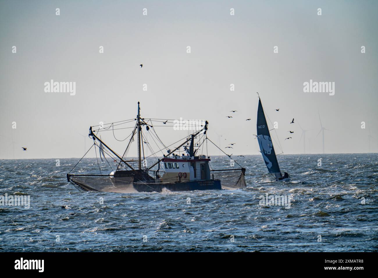 Shrimp cutter SCH-10 Drie Gebroeders, off the coast of Scheveningen ...