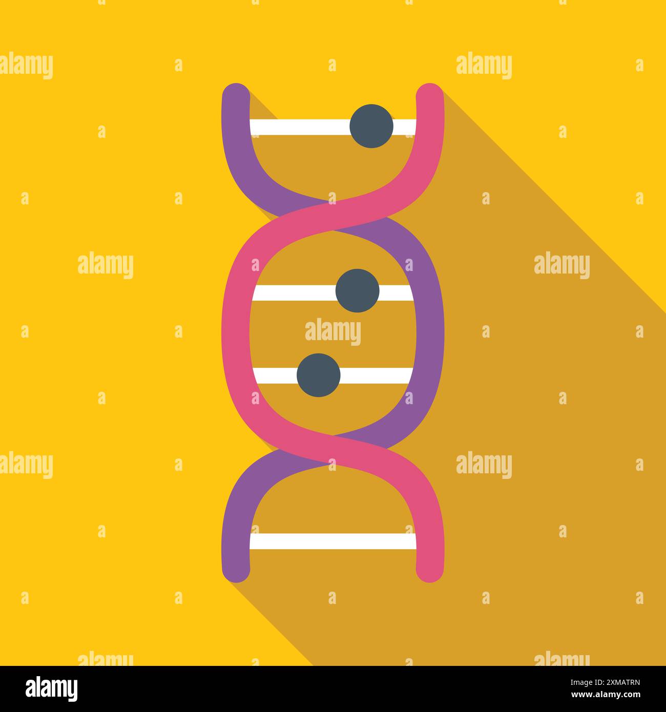 Dna double helix structure forming with long shadow on yellow ...