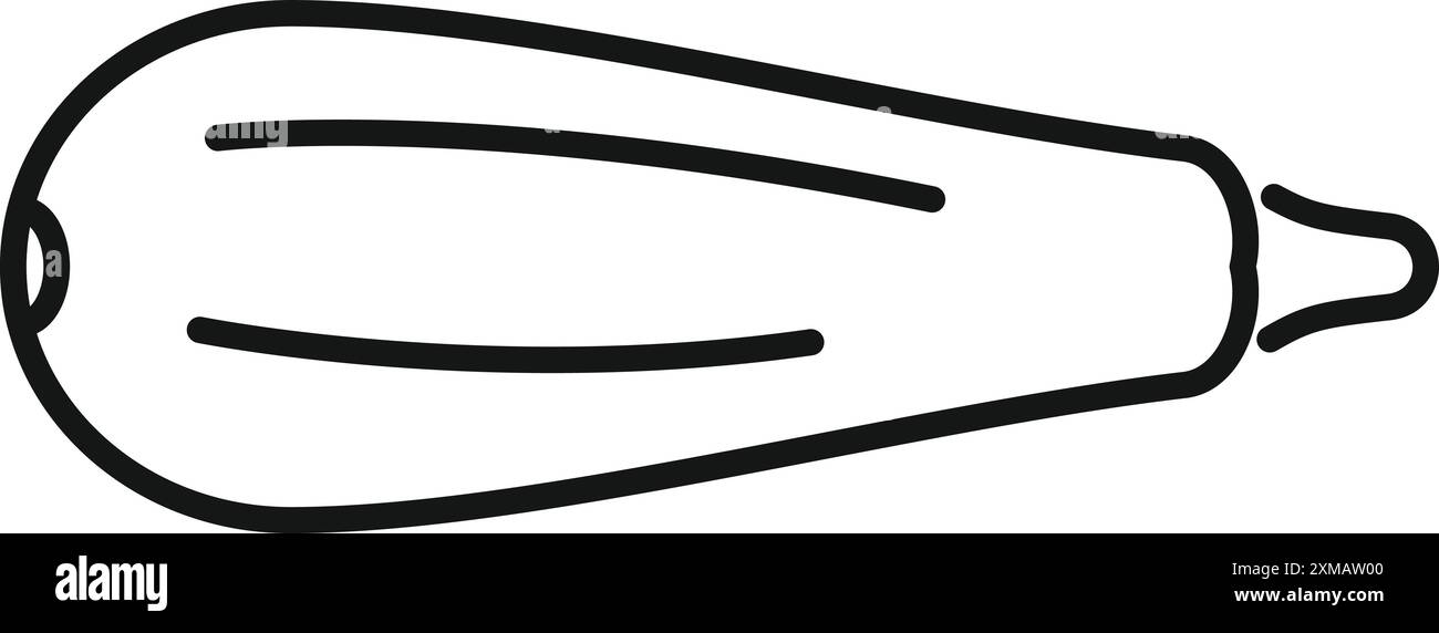 Simple line drawing of a zucchini, isolated on a white background Stock ...