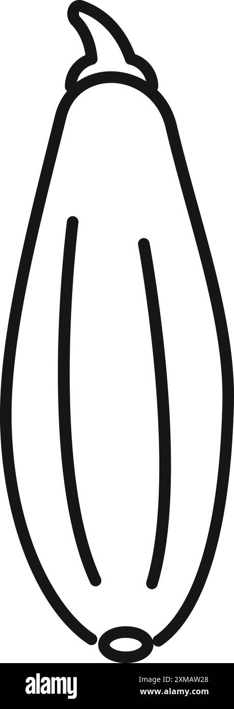 Simple line drawing of a zucchini squash with a stem on a white ...