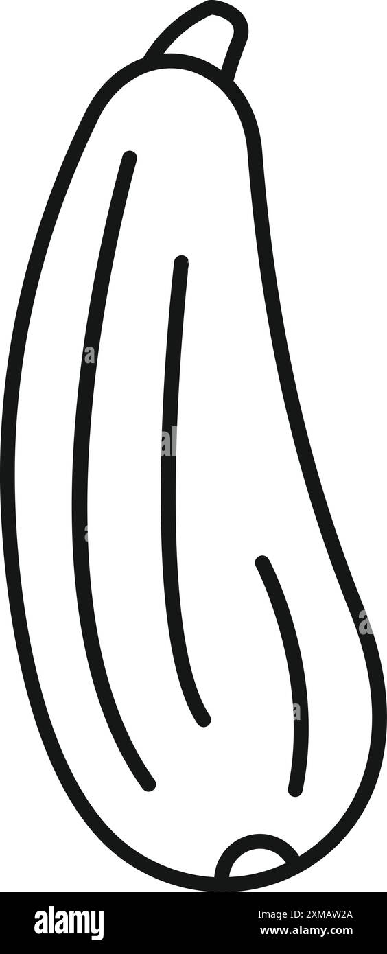 Simple line drawing of a zucchini squash, isolated on a white ...