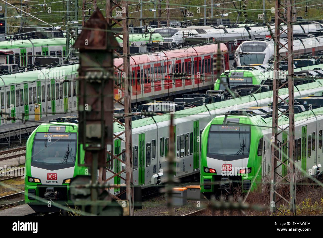 Regional trains, regional railways, suburban trains, on the tracks of a ...