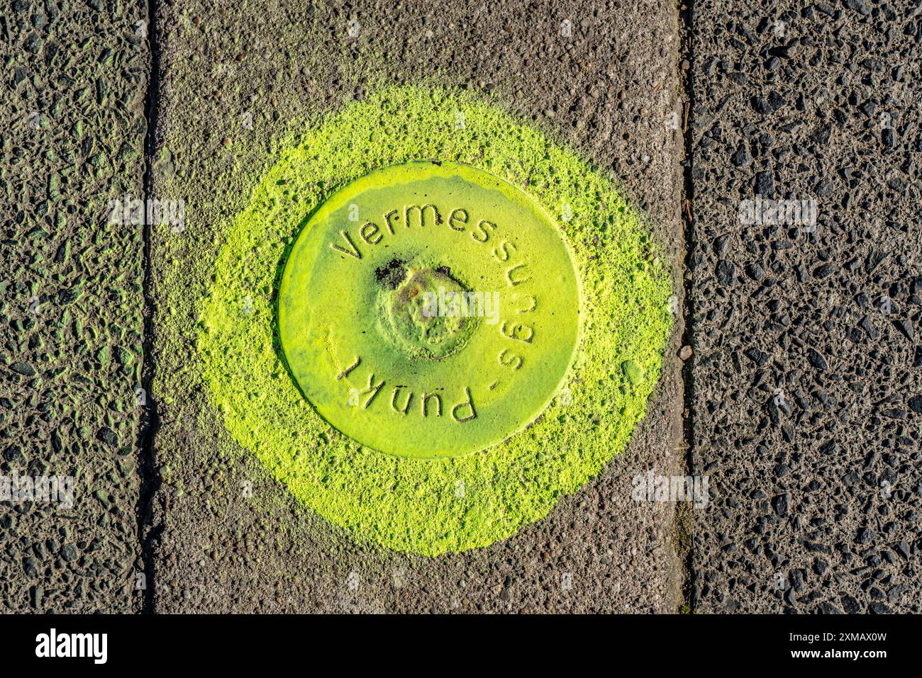 Surveying point, used for orientation, reference point, for surveying ...