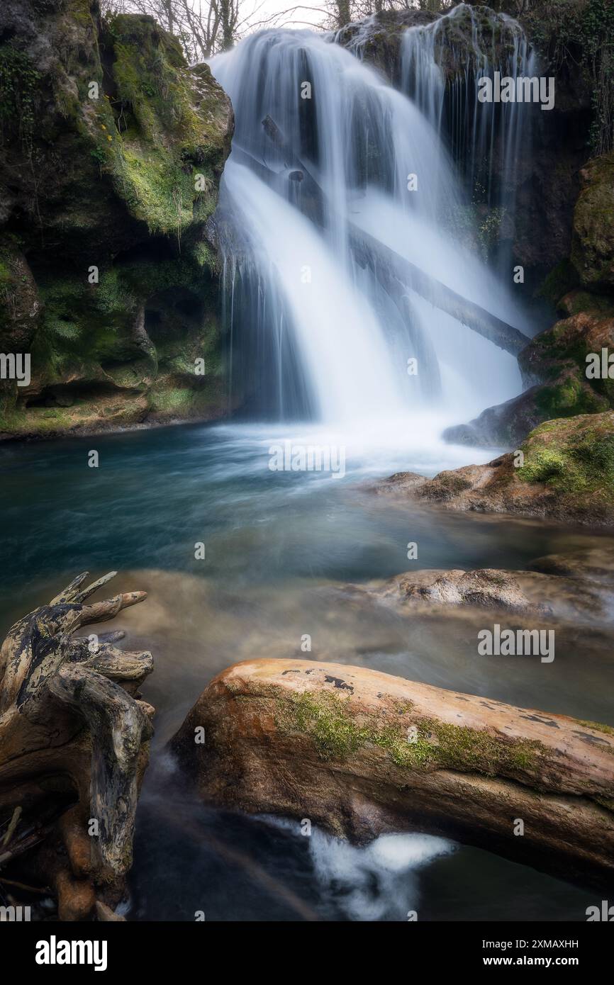 Romania waterfall real no AI, cascading through fallen trees, national ...