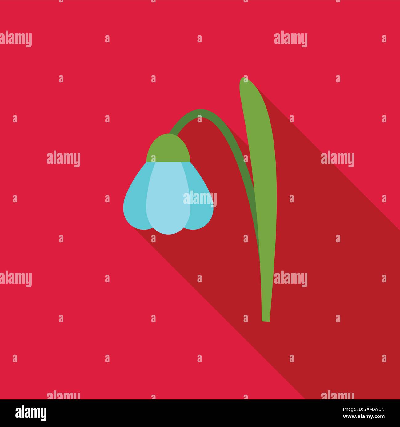 Blue snowdrop growing with stem and leaf, a symbol of spring and new ...