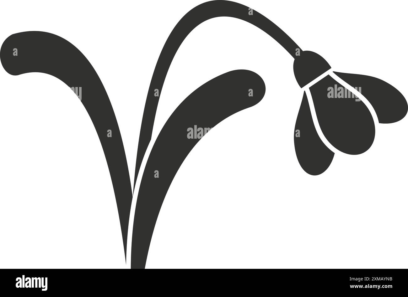 Simple icon of a snowdrop flower with its stem and leaves, isolated on ...