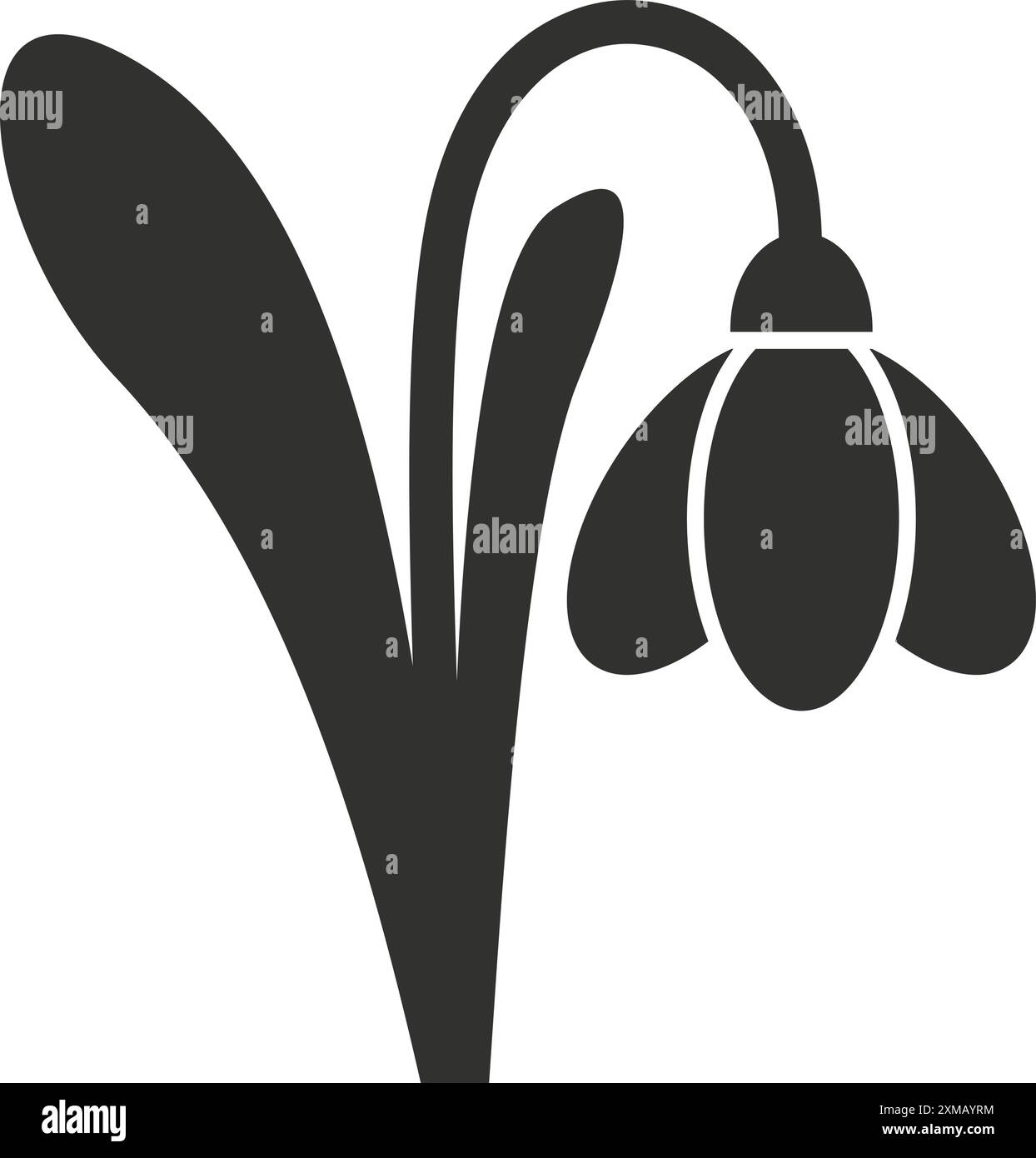 Minimalist black and white illustration of a single snowdrop flower ...