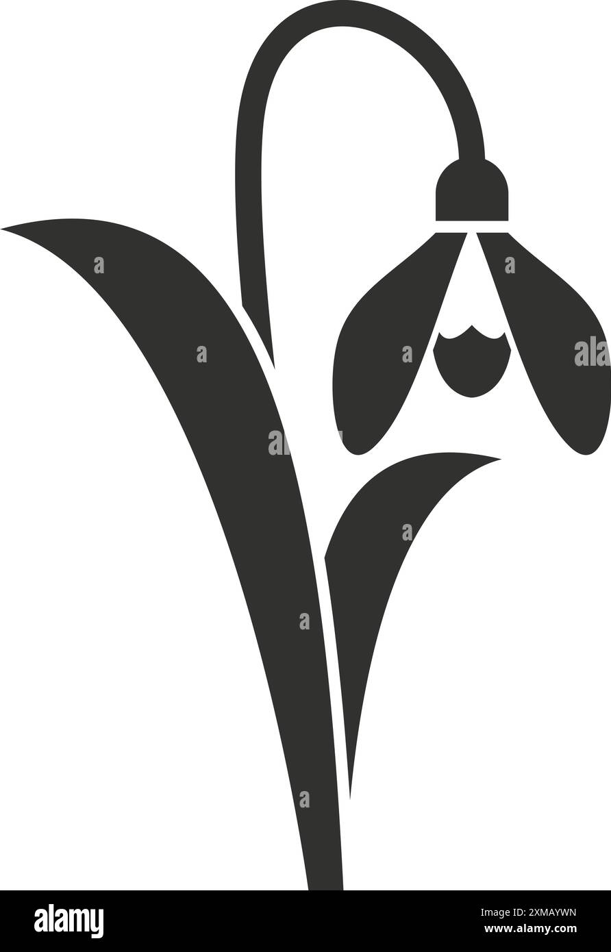 Simple black and white illustration of a snowdrop flower, symbolizing ...