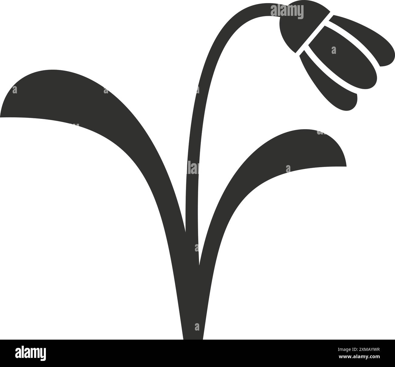 Simple black and white illustration of a snowdrop flower, symbolizing ...