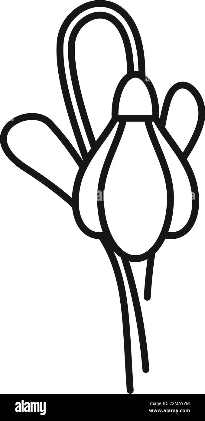 Snowdrop flower growing with simple line art style for logo or icon ...