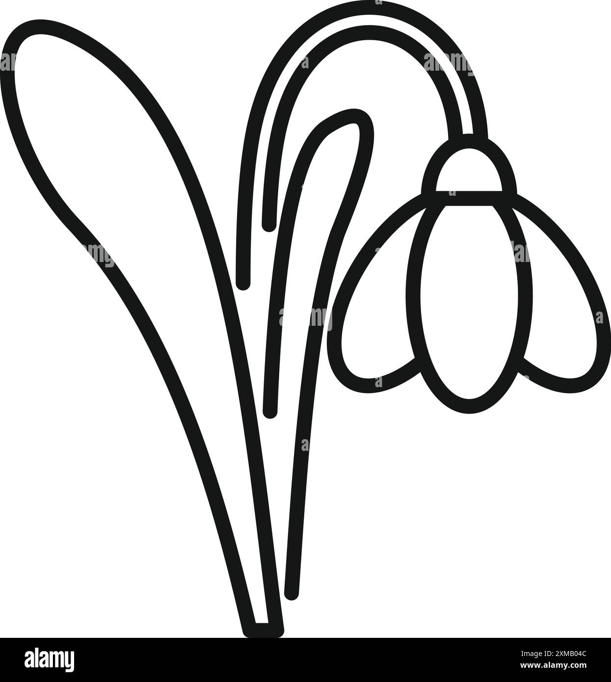 Snowdrop flower growing with stem and leaf, spring blossom symbol in ...