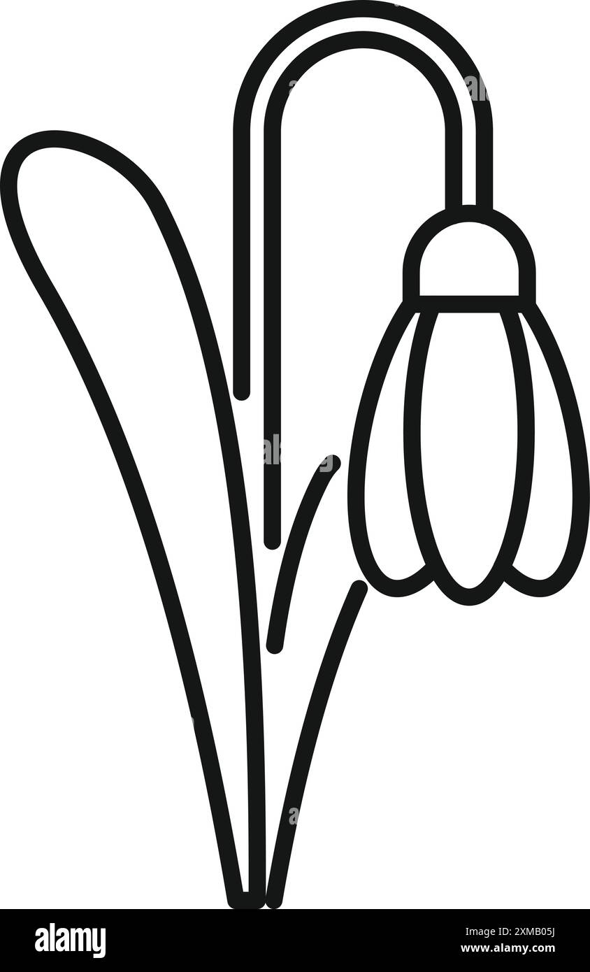 Single snowdrop flower with stem and leaf growing up from the ground ...