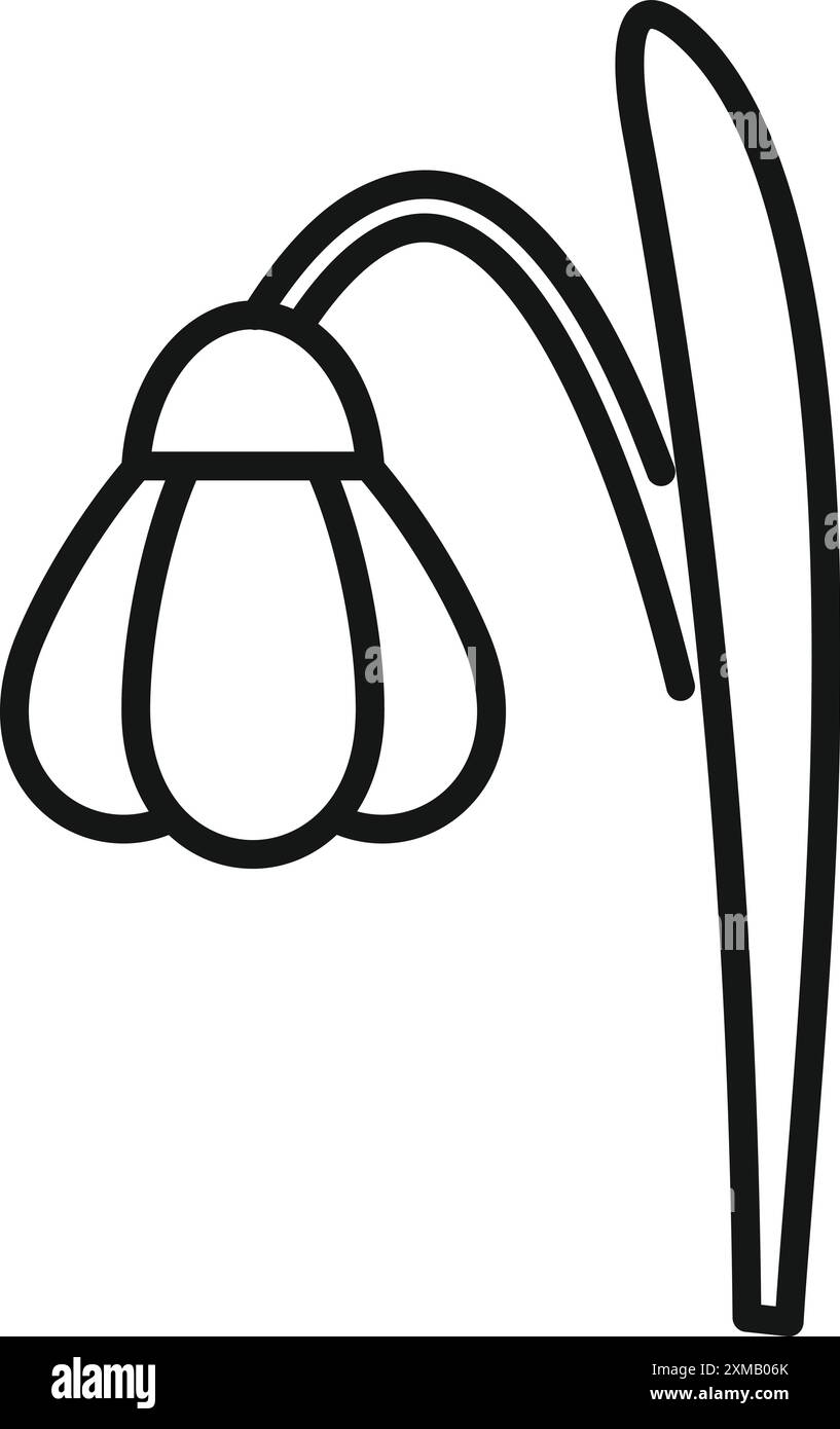 Simple line drawing of a snowdrop flower with leaf, isolated on a white ...