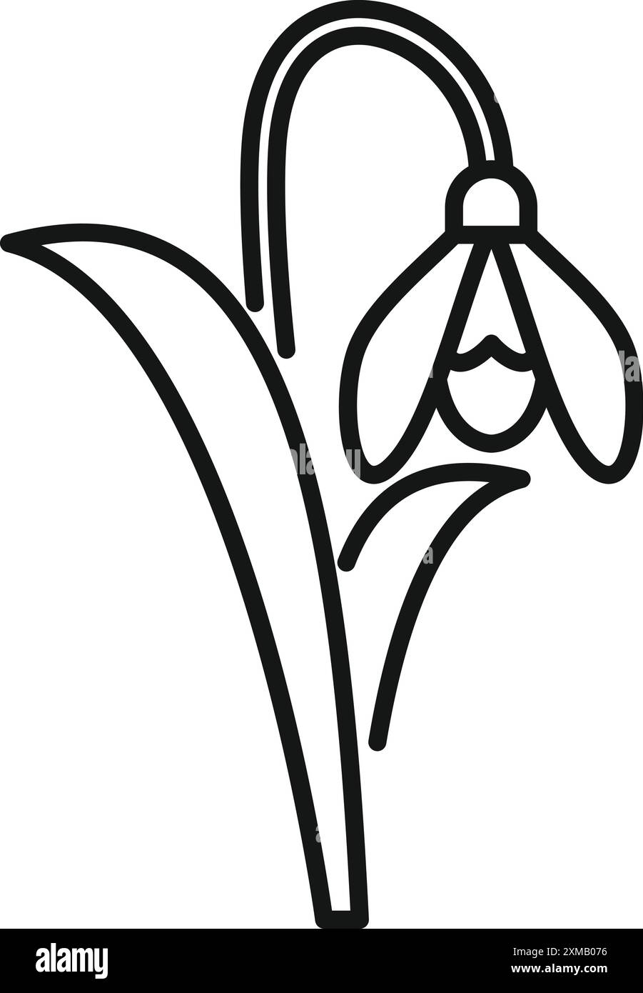 Simple outline icon of a snowdrop flower growing, symbolizing new ...