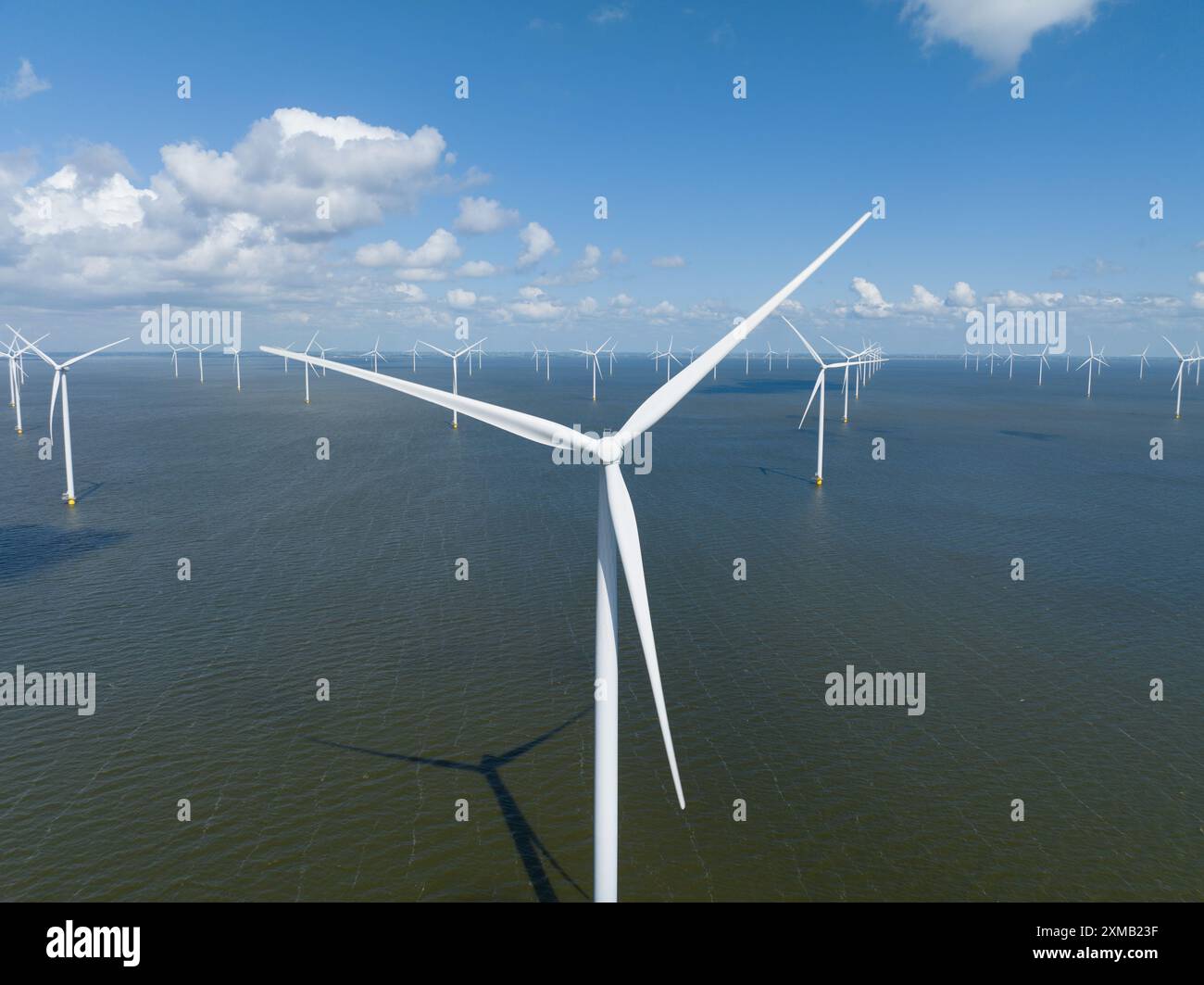 Offshore wind turbines birds hi-res stock photography and images - Alamy