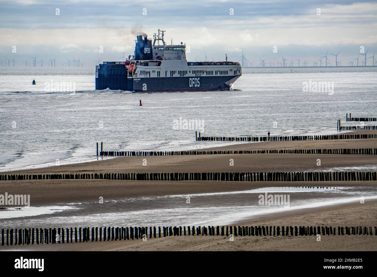 The DFDS cargo ferry Begonia Seaways, loaded with lorry trailer and new ...