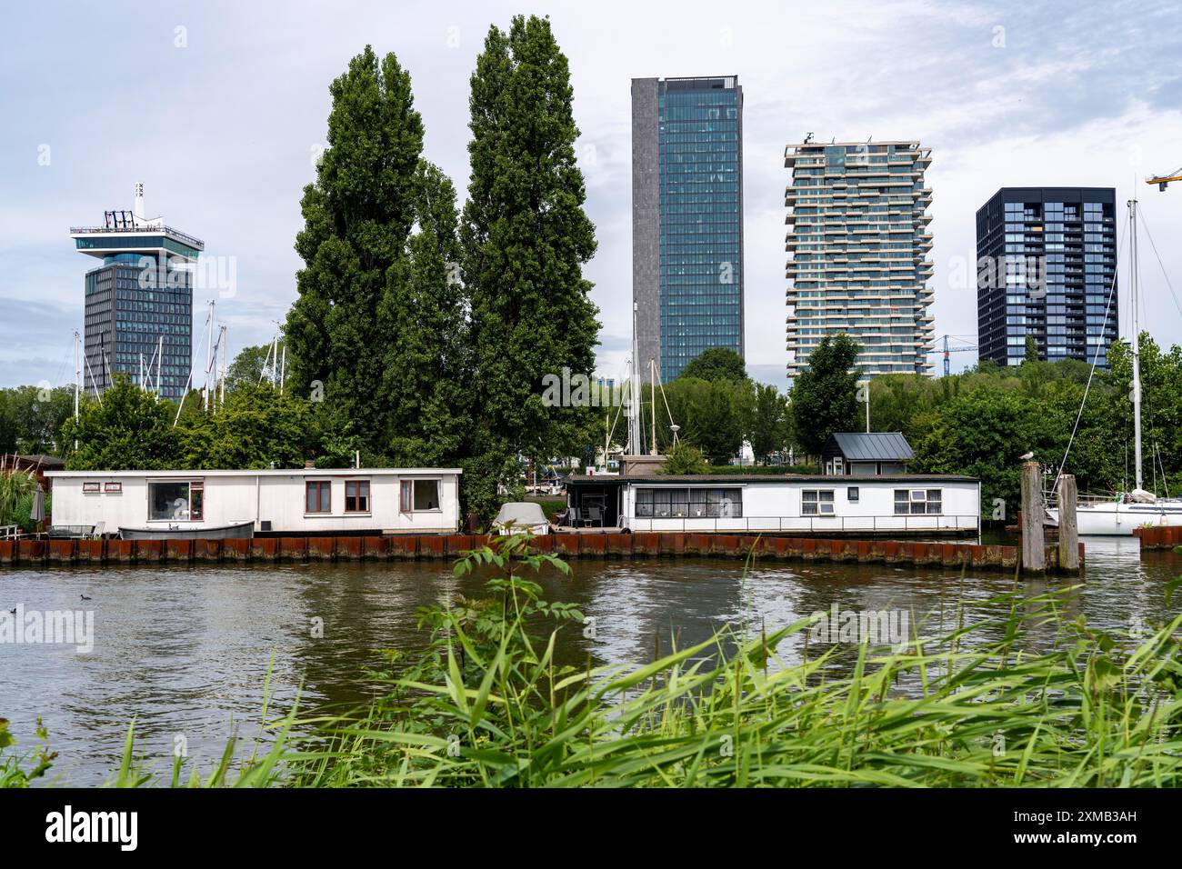 Houseboats at Sixhaven, on the river Ij, behind them high-rise ...